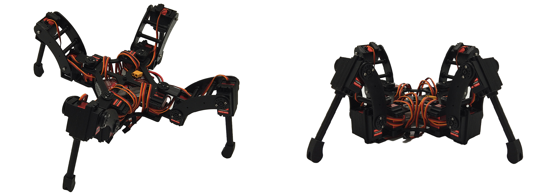 足式机器人（Legged Robot）